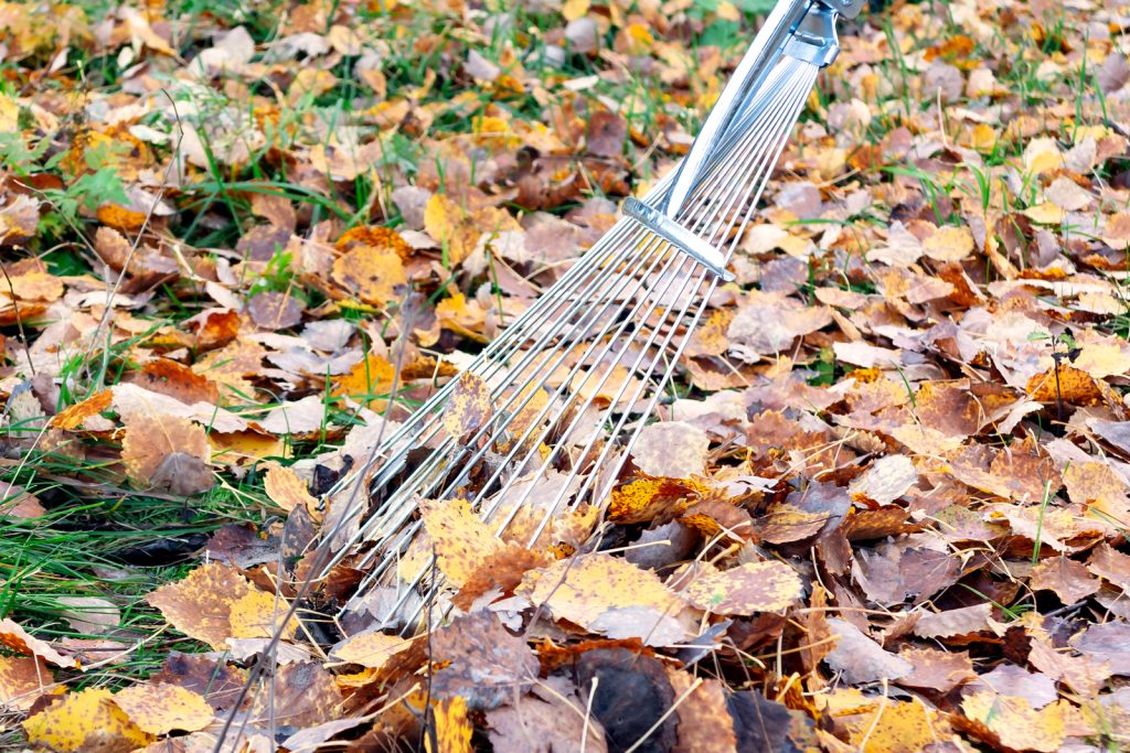 Best Yard Rake: The Essential Tool for Lawn Maintenance 2023 - Product ...